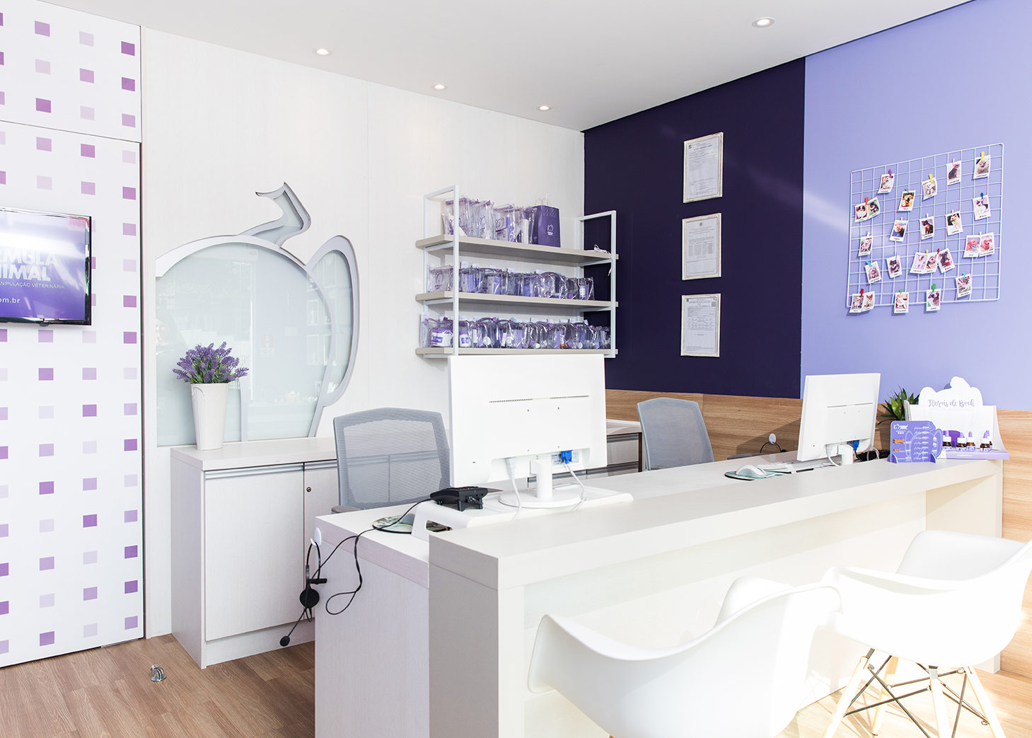 Como abrir uma farmácia de manipulação veterinária? - Fórmula Animal